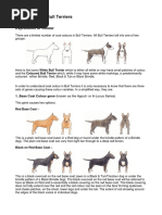 Wolvden Base Coat Genetics Guide | PDF | Nature