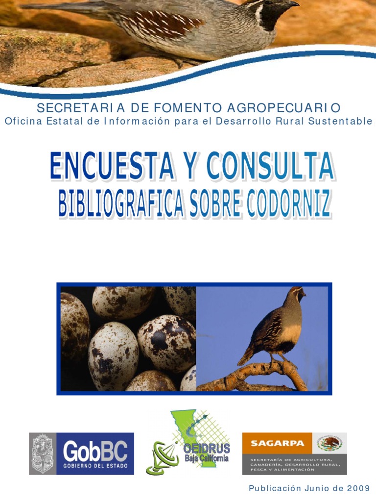 Documento Codorniz | PDF | Pollo | Carne