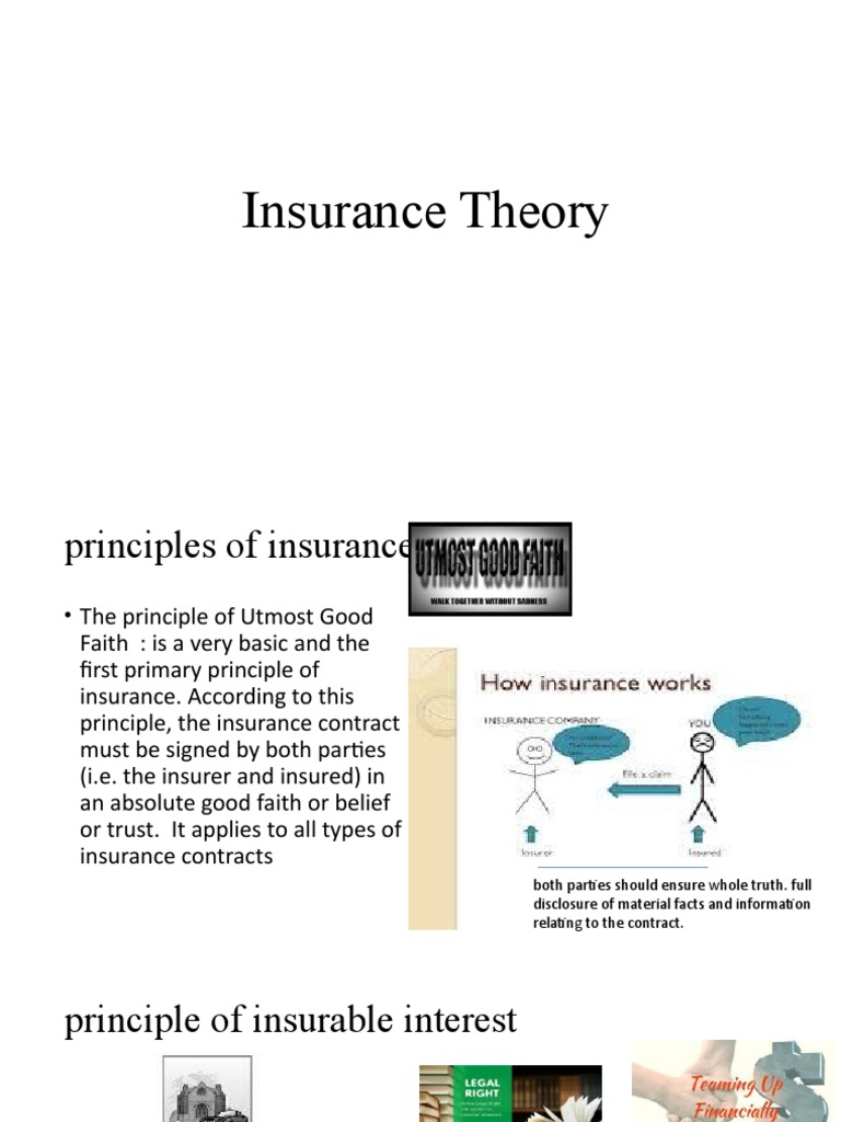 Insurance Theory | PDF