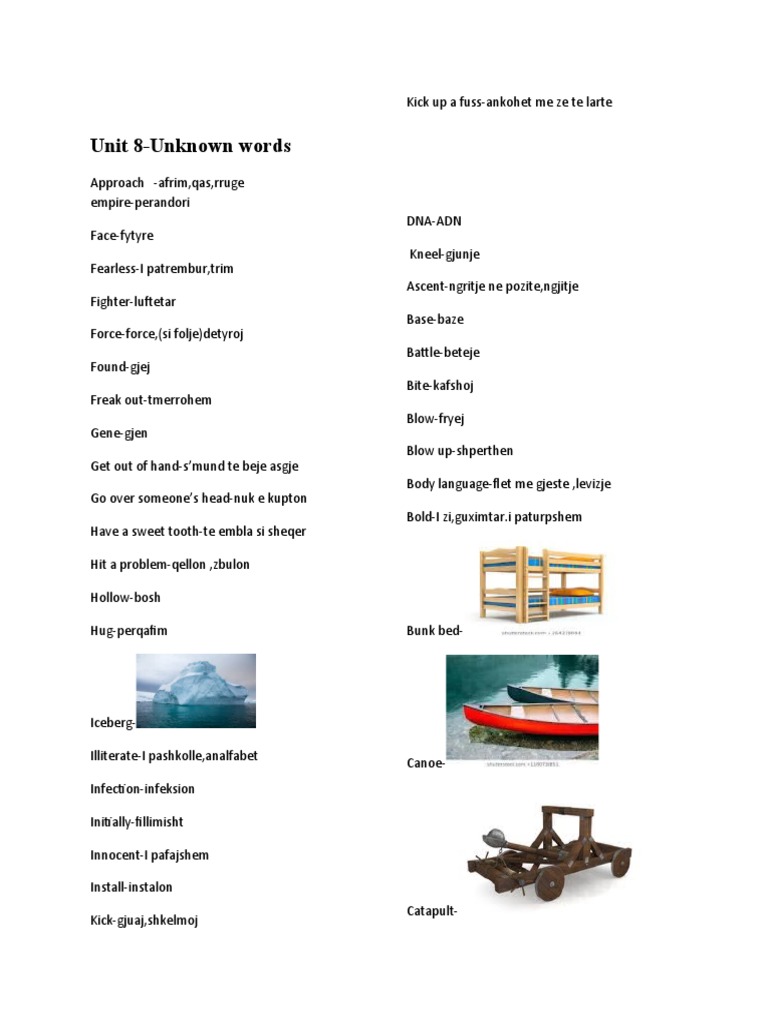 Unit 8-Vocabulary | PDF