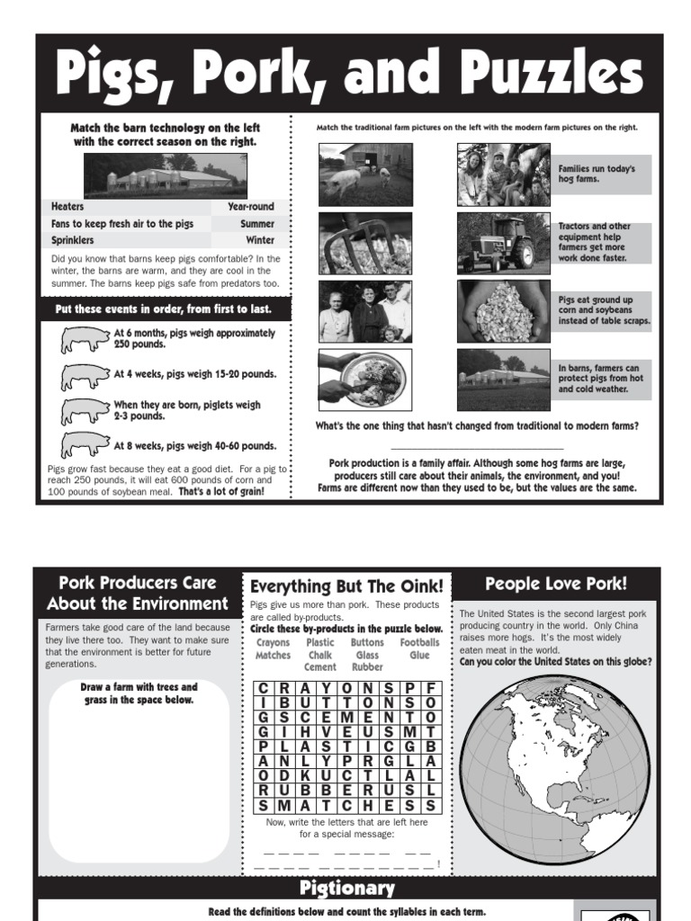 Pigs Pork Puzzles PDF | PDF | Domestic Pig | Pig