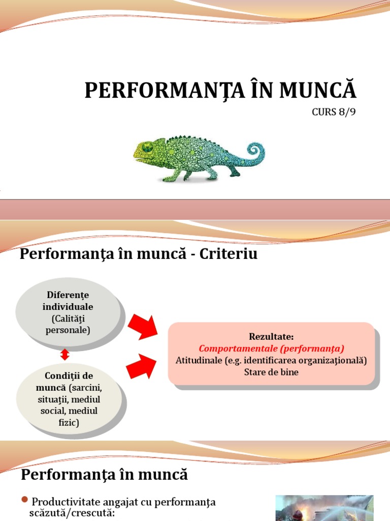 Curs8 PMP Performanta Modele | PDF