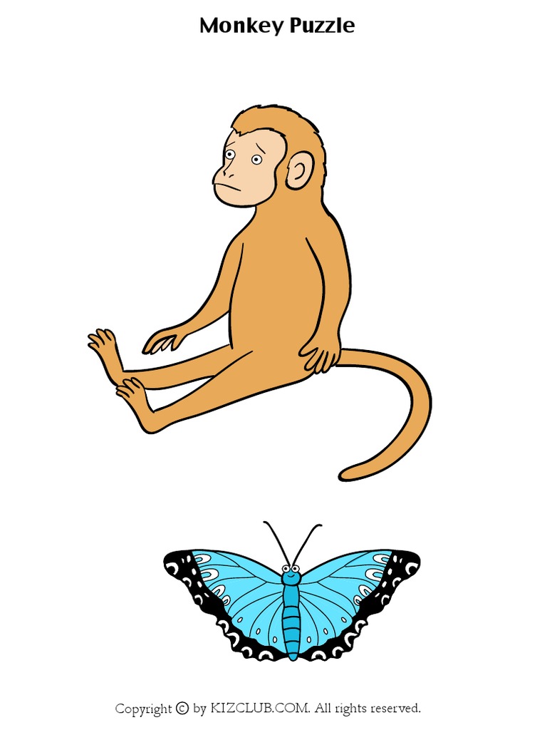 Monkey Puzzle Flashcards PDF | PDF