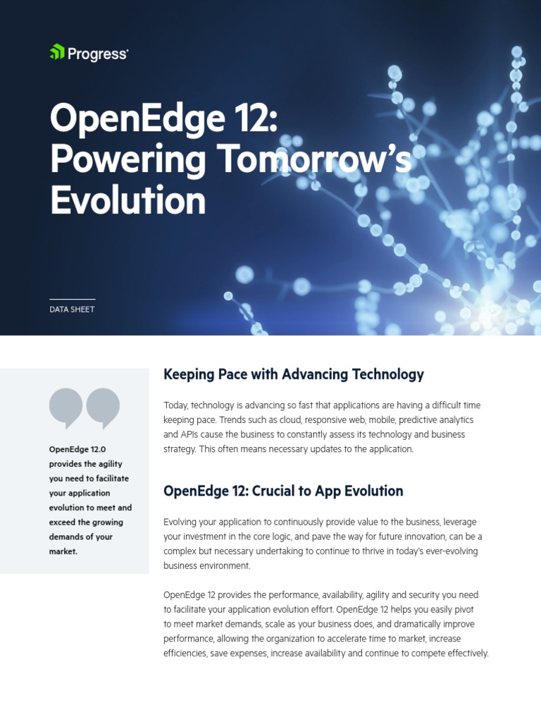 Updated Openedge 12 With 12 1 Information Brochure | PDF | Replication ...