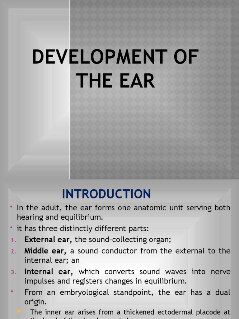 Development of The Ear | PDF | Ear | Otorhinolaryngology