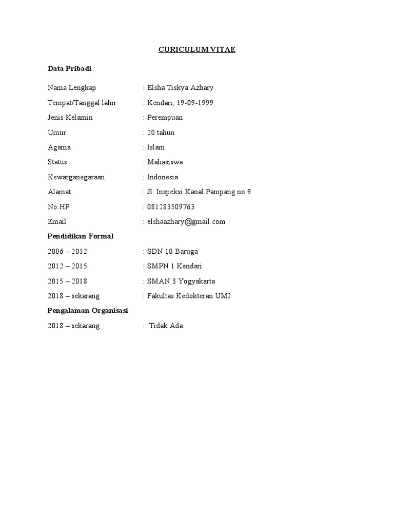 Curiculum Vitae Elsha | PDF | Pengembangan Diri | Kesehatan Holistik