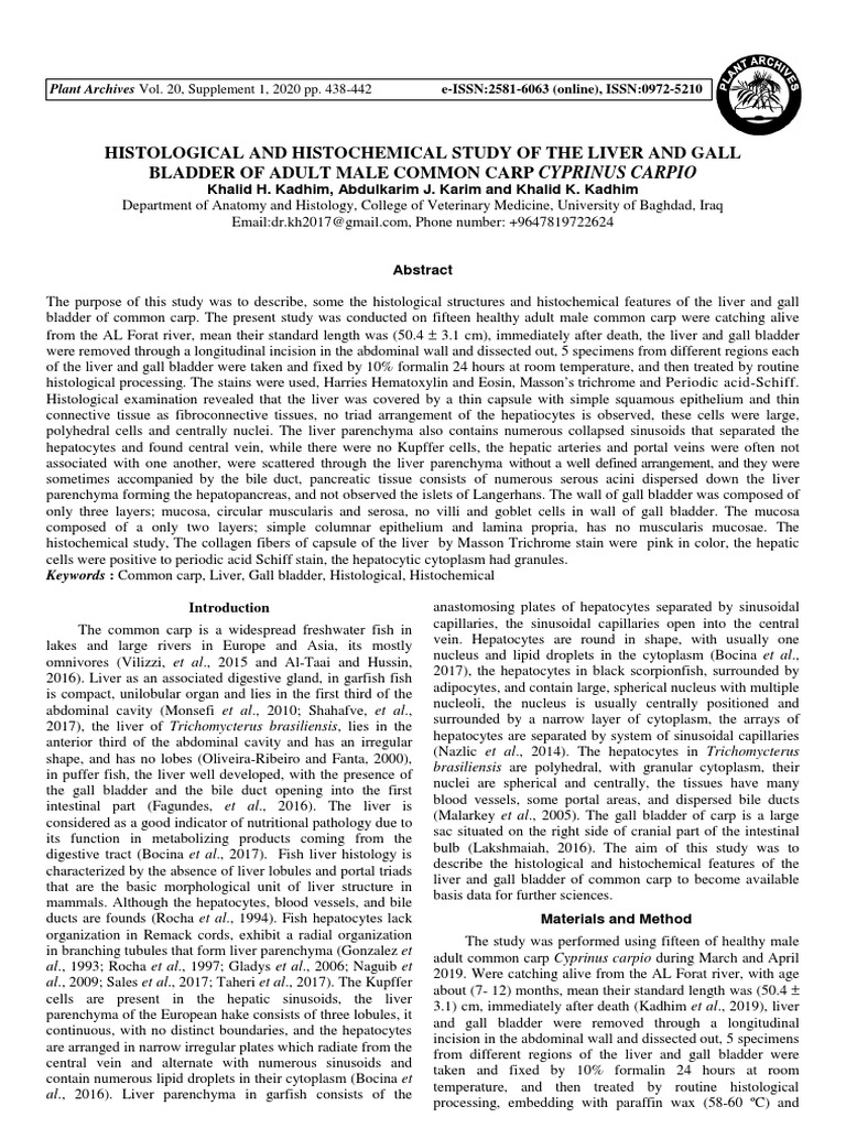Histological Study of Common Carp Liver | PDF | Hepatocyte | Liver