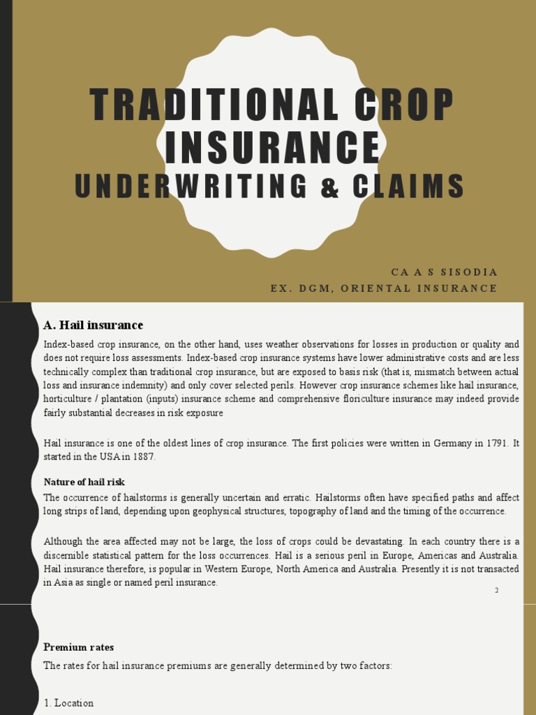 Hail Insurance: Premiums & Risks | PDF | Deductible | Hail