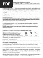 Ejemplos de Movimiento Ameboide | PDF | Músculo esquelético | Biología ...