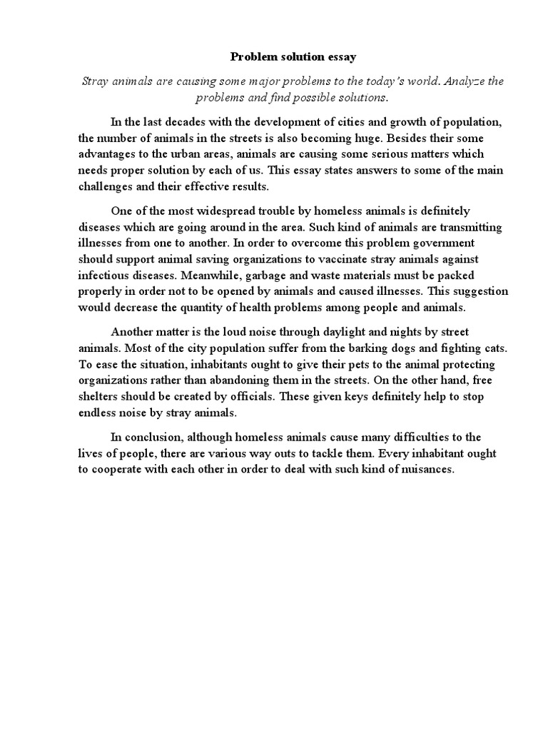 Stray Animals Are Causing Some Major Problems To The Today's World ...