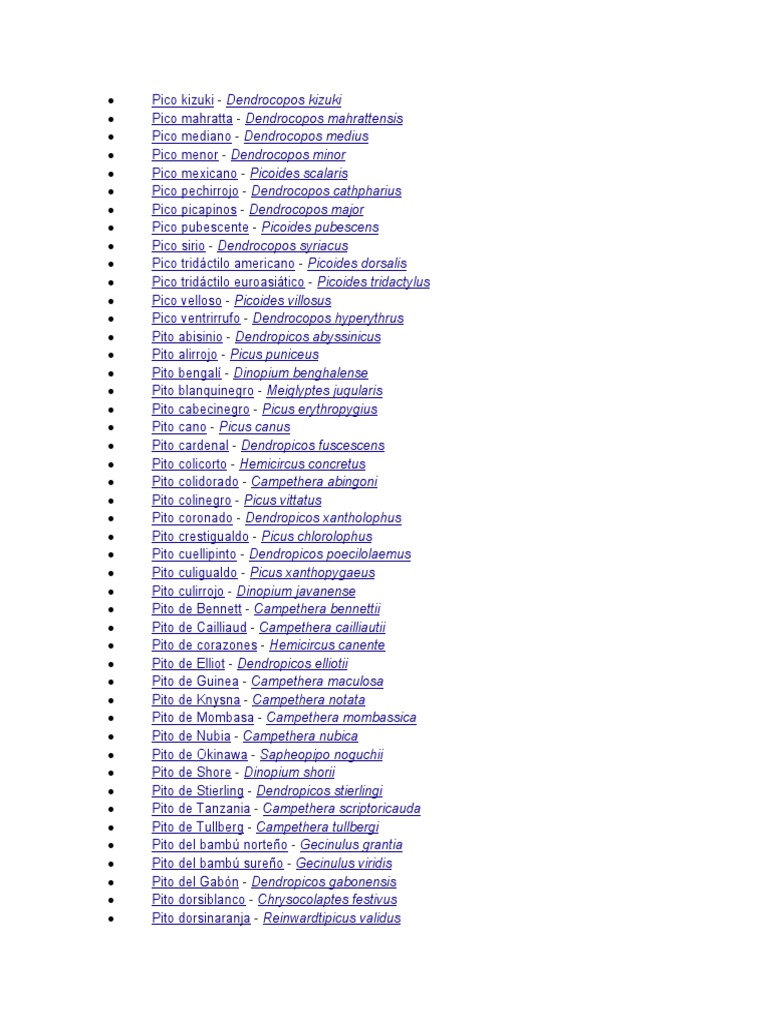 Pico Kizuki | PDF | Pingüino | Neognathae
