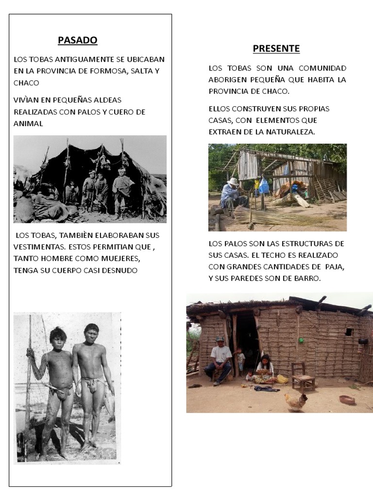 Alimentación y Vivienda de los Tobas | PDF | Alimentos | Comida y bebida