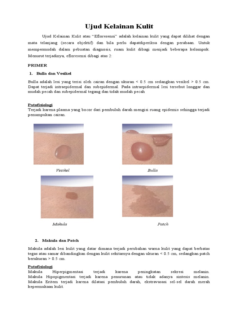 Ujud Kelainan Kulit | PDF