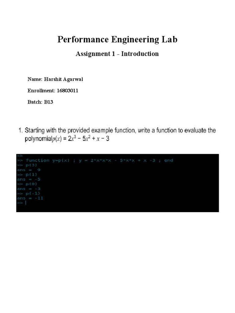 Pecs Assignment 1 | PDF