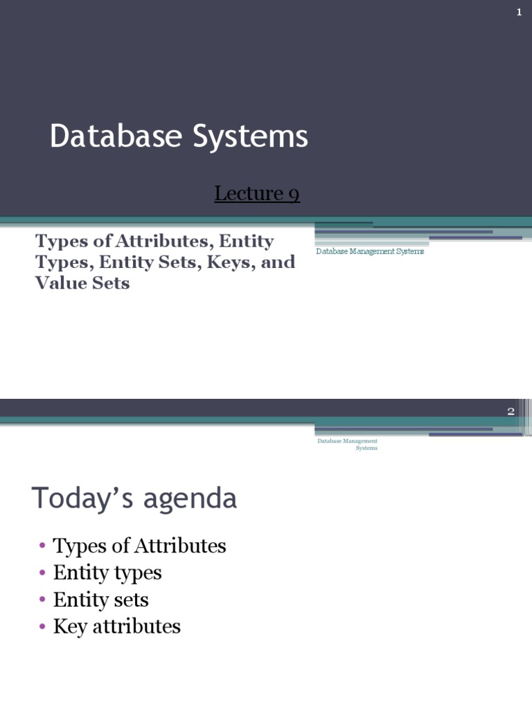 Database Systems: Types of Attributes, Entity Types, Entity Sets, Keys ...