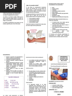 Ángulo de Louis | PDF | Tórax | Anatomía humana