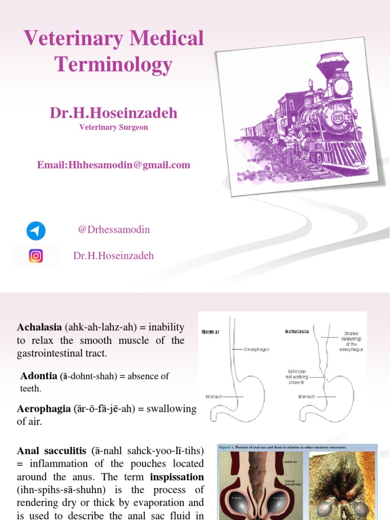 Veterinary Medical Terminology: Dr.H.Hoseinzadeh | PDF ...