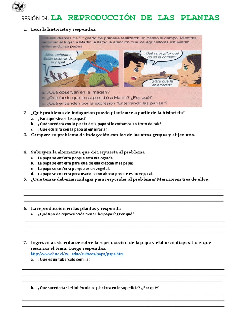 Quinto La Reproducción de Las Plantas | PDF | Plantas | Patata