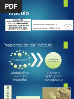 Preparacion y Propagación de Inóculos | PDF | Microorganismo | Las ...