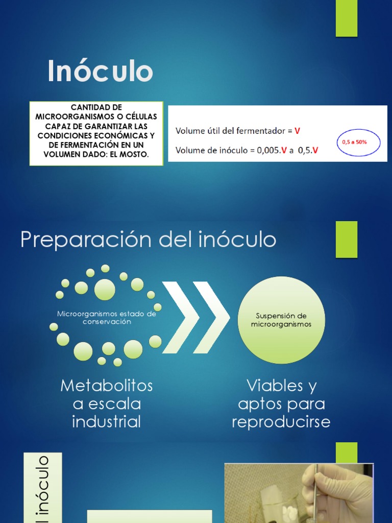 Preparación Del Inóculo2020 | PDF | Microorganismo | Concentración