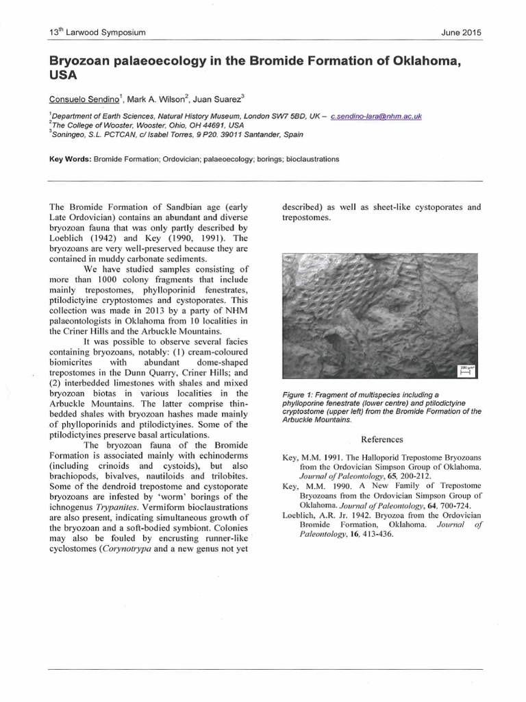 Bryozoan Palaeoecology in The Bromide Formation of Oklahoma, USA | PDF ...