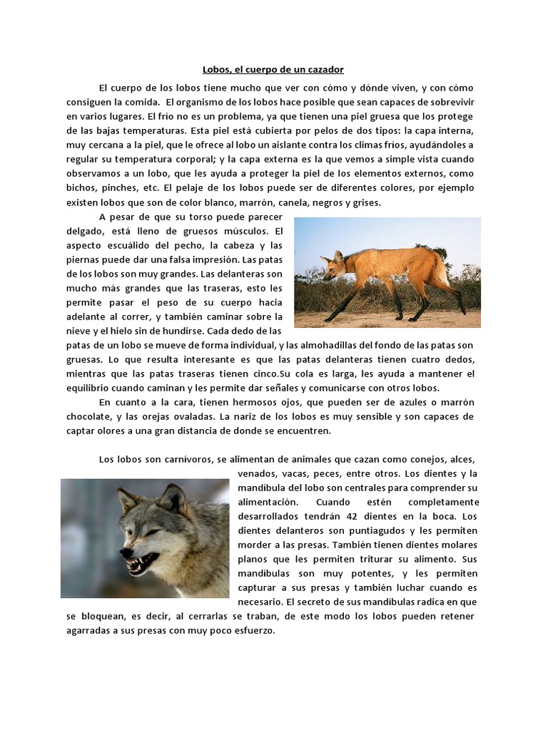 Texto Lobos Editado | Descargar gratis PDF | Caza | Piel