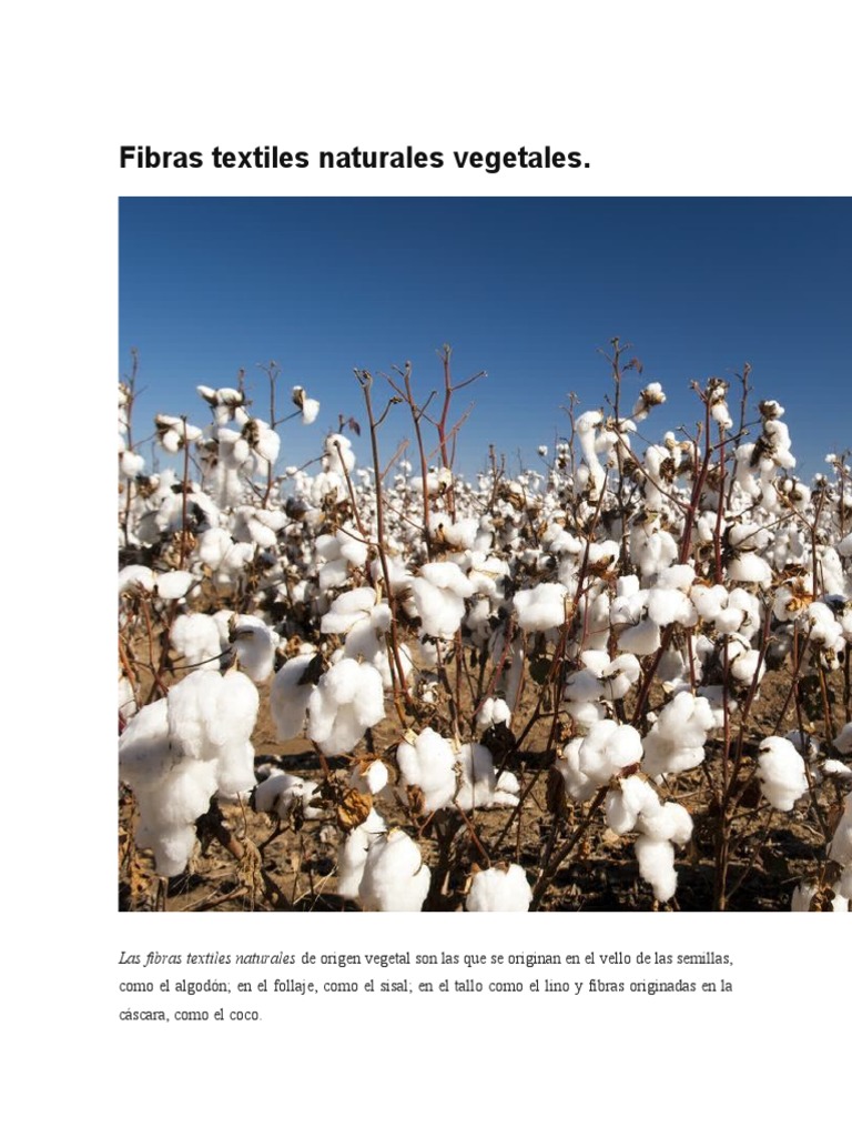 Fibras Textiles Naturales Vegetales | PDF | Textiles | Algodón