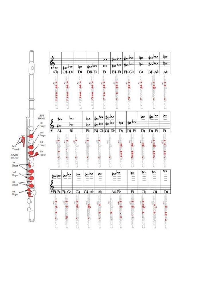 Tabla de Posiciones de La Flauta Traversa | PDF