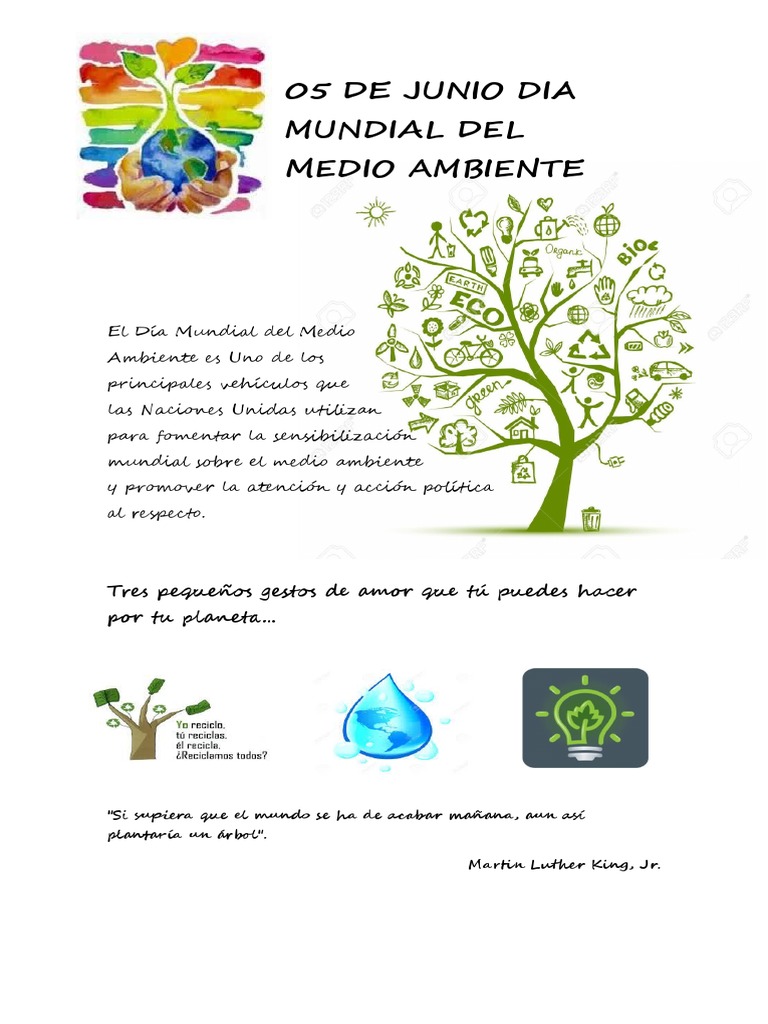 Afiche Dia Mundial Del Medio Ambiente | PDF