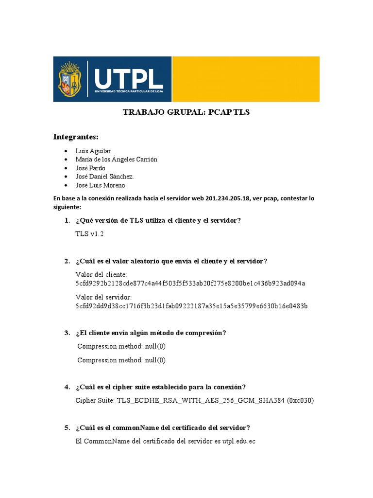 Trabajo Grupal PCAP TLS | PDF
