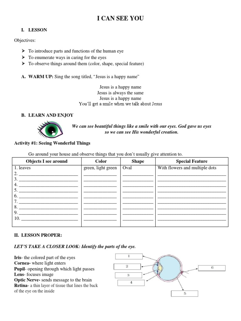Module 1-I CAN SEE YOU | PDF | Eye | Human Eye