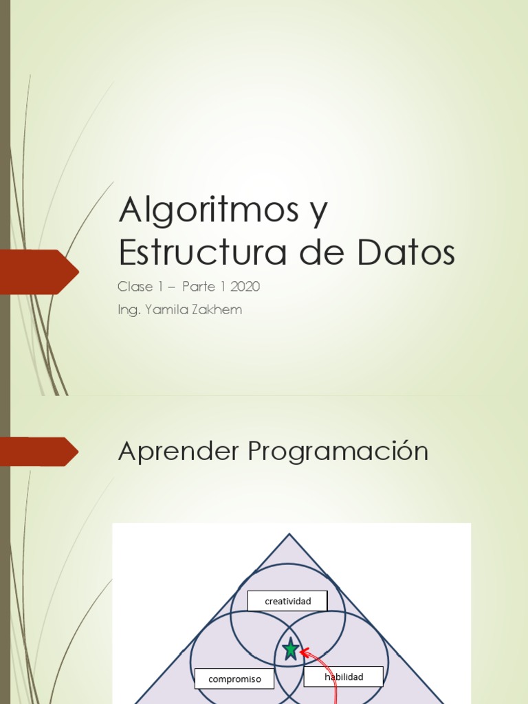 Algoritmos y Estructura de Datos - 1 | PDF | Lenguaje de programación | Algoritmos