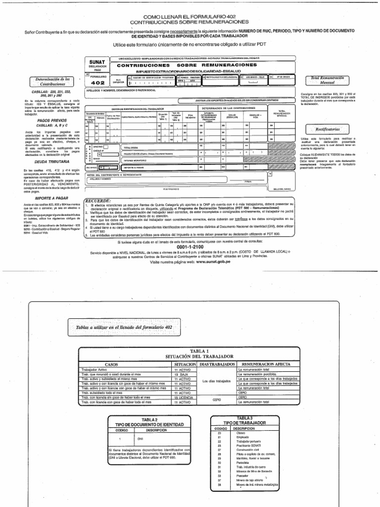 Instrucciones para Formulario 402 PDF | PDF