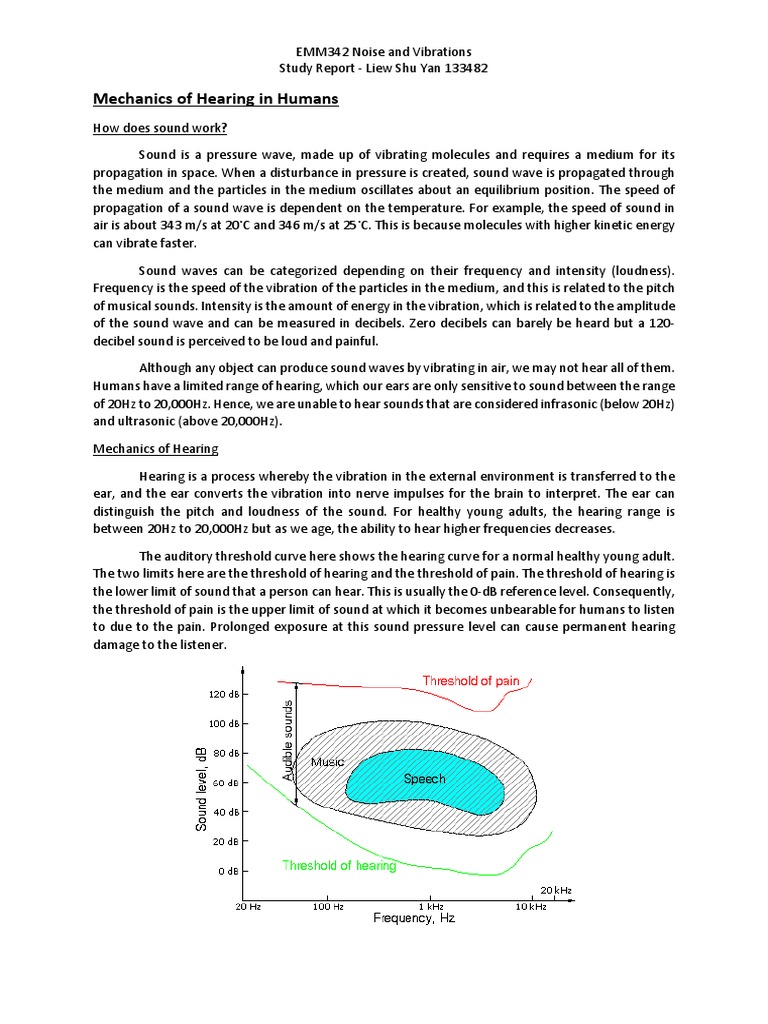 Noise Study Report | PDF | Sound | Ear