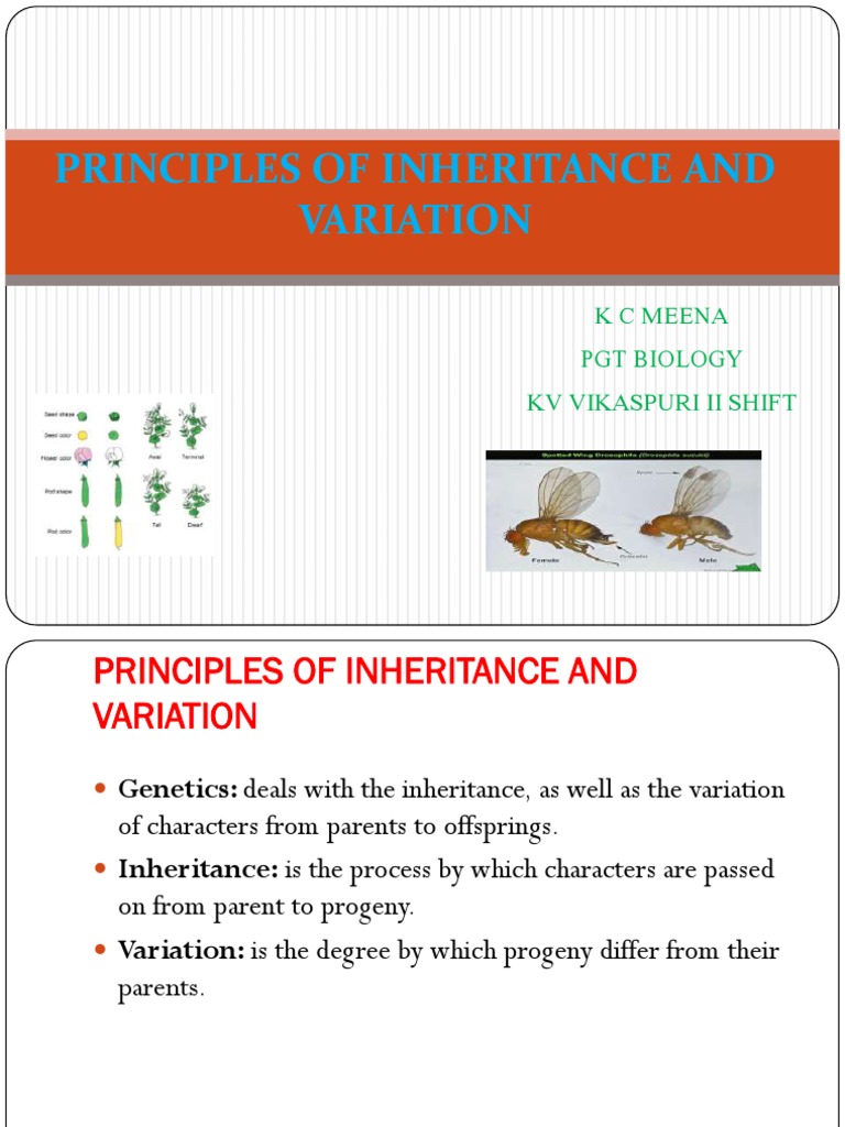 Principles of Inheritance and Variation: K C Meena PGT Biology KV ...