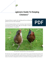 Medicine Chart For Chickens | PDF | Candidiasis | Medical Diagnosis