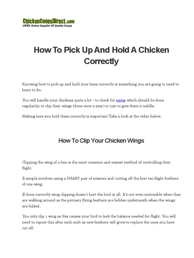 04 How To Pick Up and Hold A Chicken Correctly | PDF