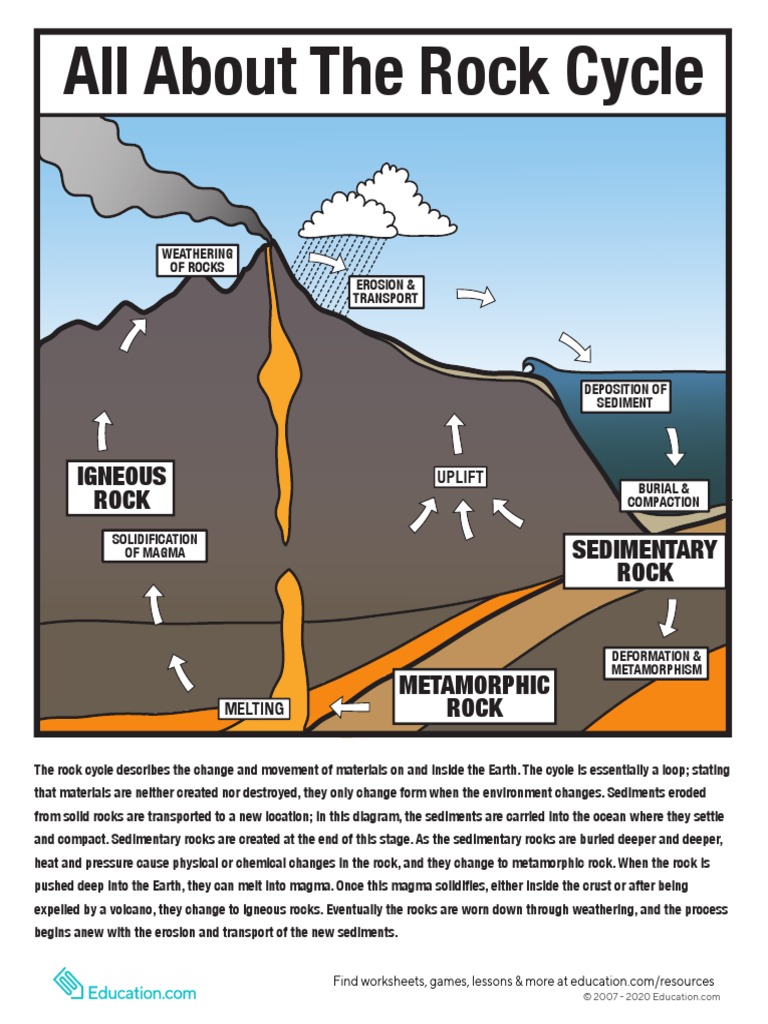 Rock Cycle Quiz | PDF | Rock (Geology) | Sedimentary Rock