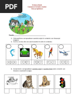 CLR Evaluare Sumativa Modulul I | PDF