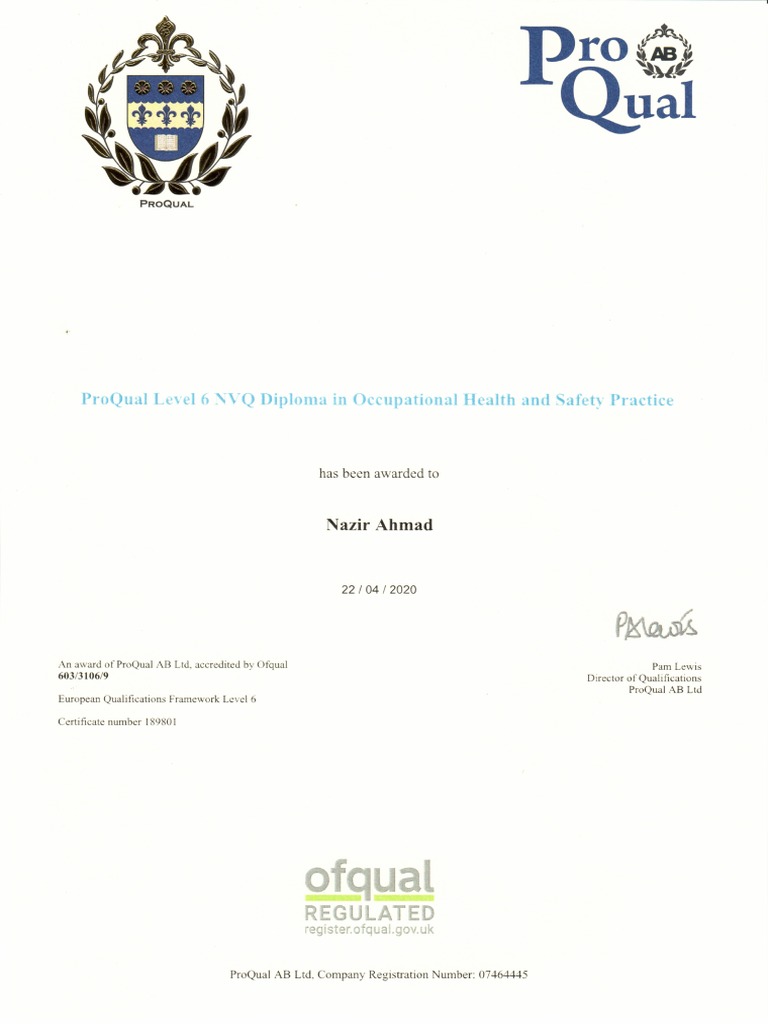 ProQual - NQV Level 6 | PDF