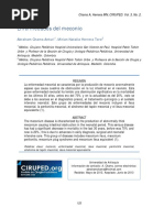 Íleo Meconial: Causas y Tratamiento | PDF | Gastroenterología | Rtt