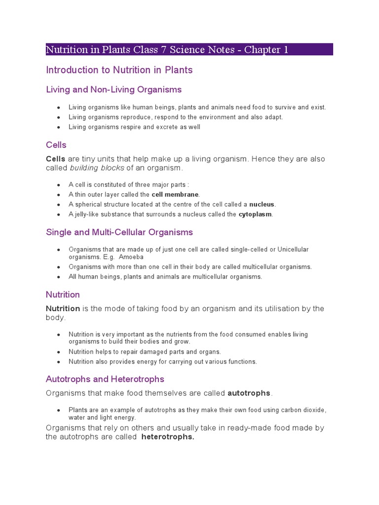 Nutrition in Plants Class 7 Science Notes | PDF | Plants | Organisms