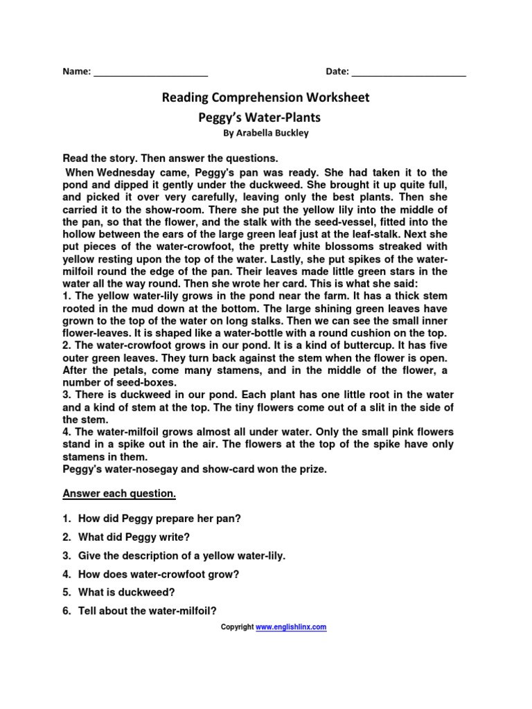 Reading Comprehension Worksheet Peggy's Water-Plants | PDF | Flowers | Leaf