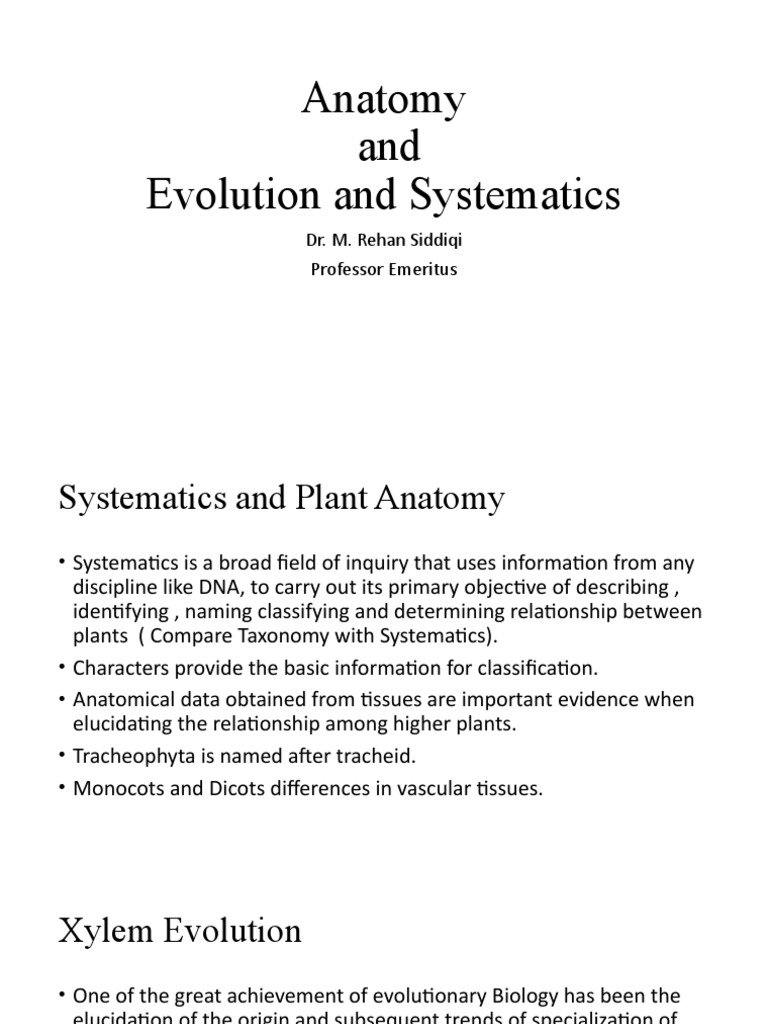 Xylem Evolution in Plant Systematics | PDF | Plants | Plant Morphology