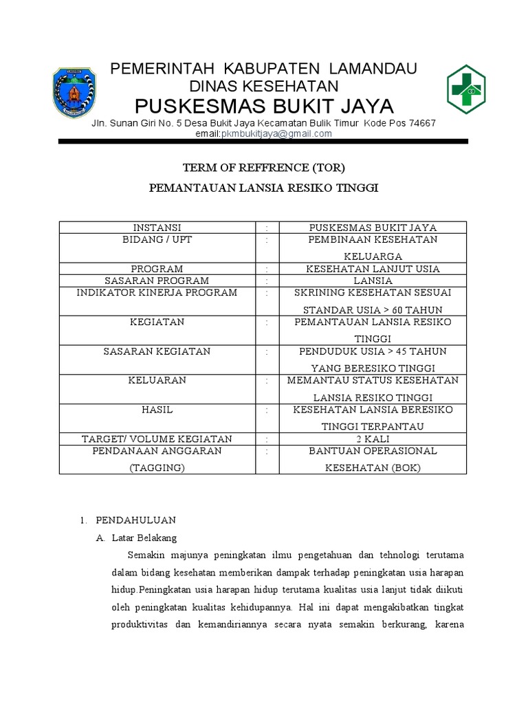 Tor Pemantauan Lansia Resiko Tinggi | PDF