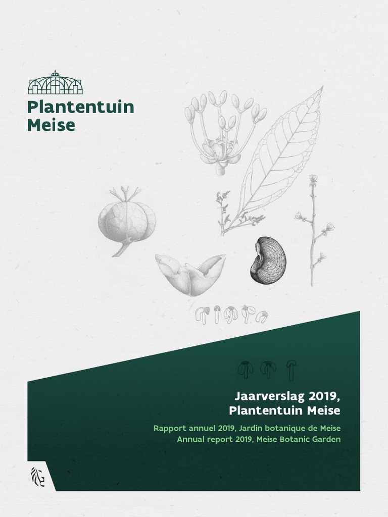 Annual Report 2019 | PDF