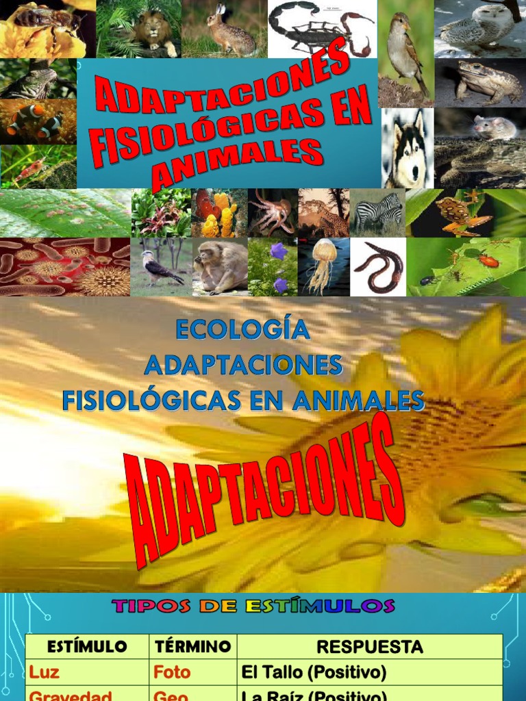 Adaptaciones Fisiologicas Animales | PDF