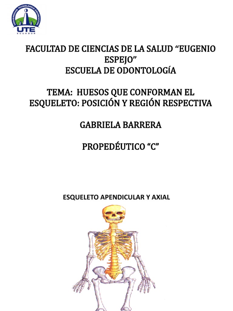 Huesos Del Esqueleto Pdf Cuerpo Humano Sistema Musculoesquelético