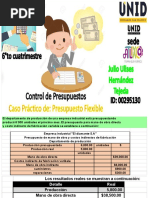 Ulises Tejeda Caso Practico Presupuesto Flexible | PDF | Presupuesto | Economias