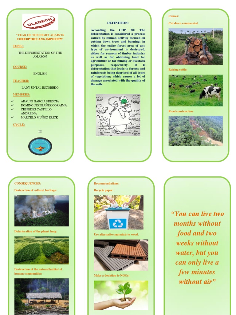 The Deforestation of The Amazon | PDF | Amazon Rainforest | Biogeography